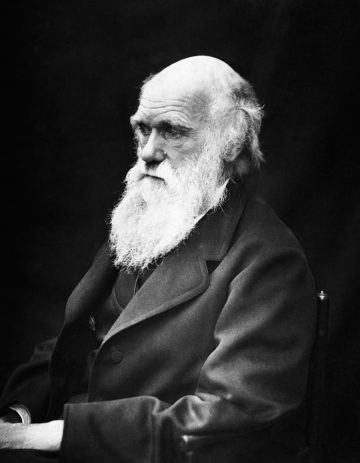 Darwin’s Sad Legacy - Catholic Insight