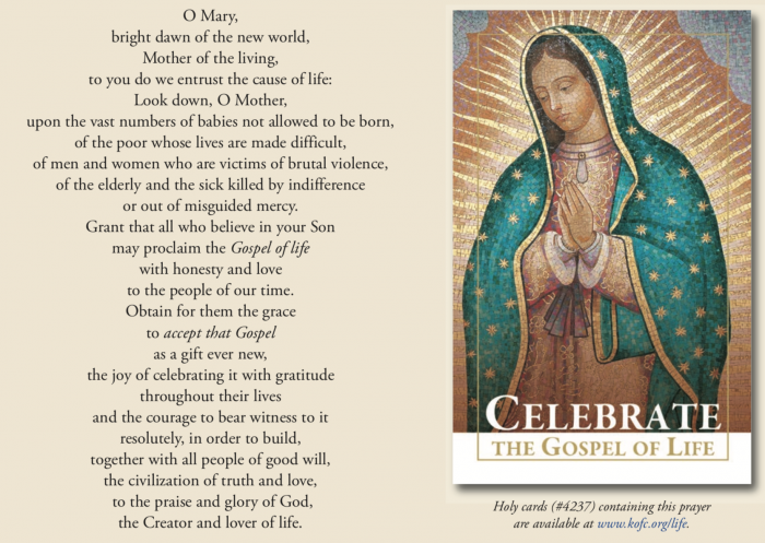 Prayer for Life - Catholic Insight